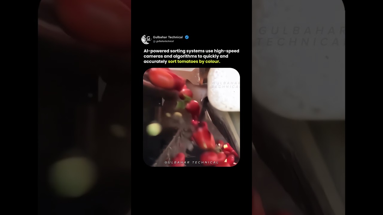 AI-Powered Cameras: The Future of Tomato Sorting! 📸🍅
