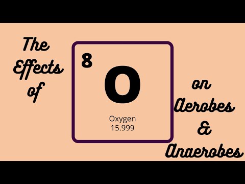 Effects of Oxygen on Aerobes and Anaerobes | How to Remember Microbiology