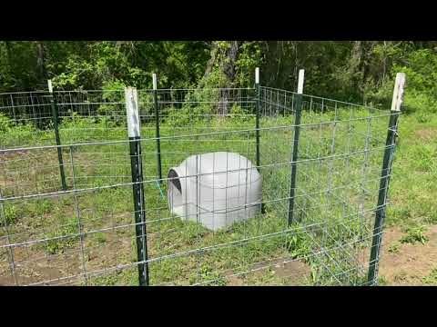 Episode 94 - Cheap Outdoor Dog Pen
