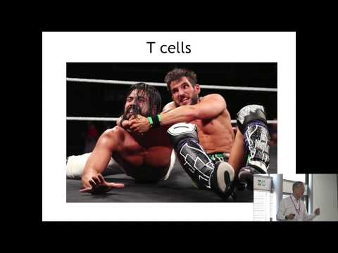 Dr Stephen Man T Cells
