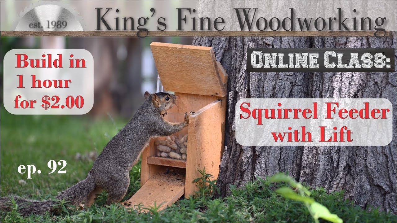 92 - Squirrel Feeder 1 hour, $2.00 - project