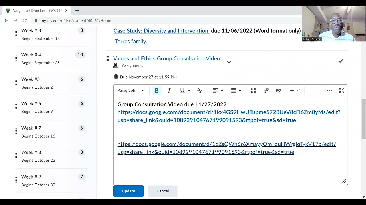 Ethics & Values Assignment instructional video