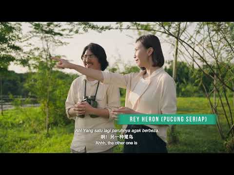 Hidden Biodiversity of Central Park @ IOI Resort City