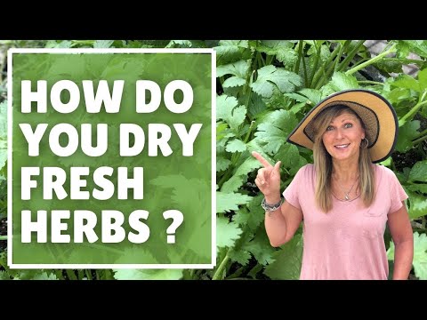 How Do You Dry Fresh Herbs ?