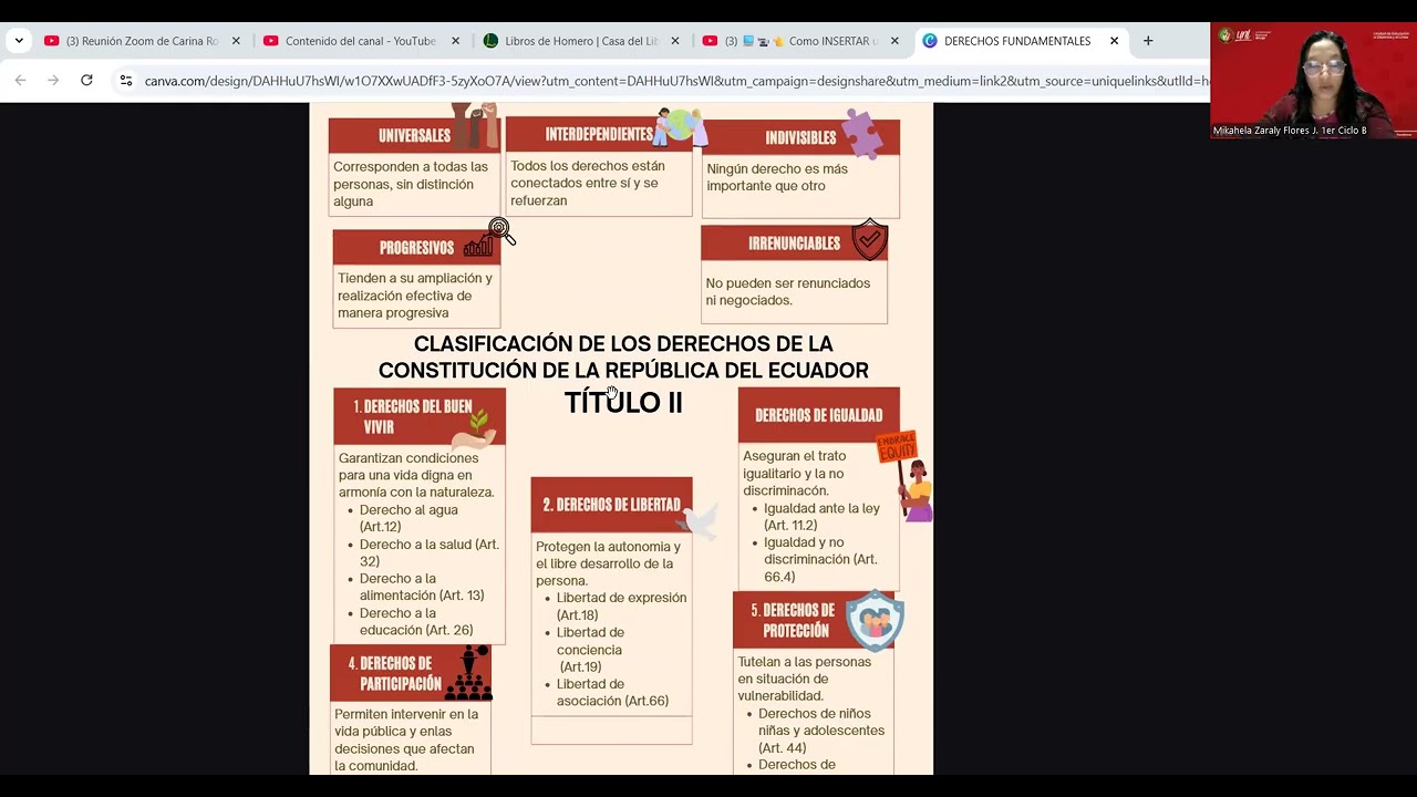 INFOGRAFÍA DEL DERECHO CONSTITUCIONAL