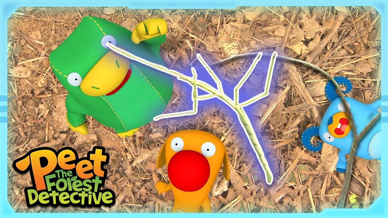 Stick Bug's Acorn Challenge | Nature Stories For Kids | Peet The Forest Detective
