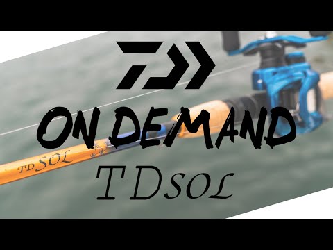 Daiwa TD Sol Inshore Saltwater Spinning Rod | Sportsman's Warehouse