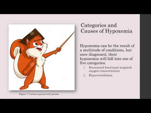 What is the Difference Between Hypoxia and Hypoxemia?