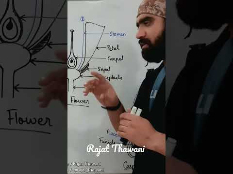 Receptacle & Pedicel | Rajat Thawani #science #neet