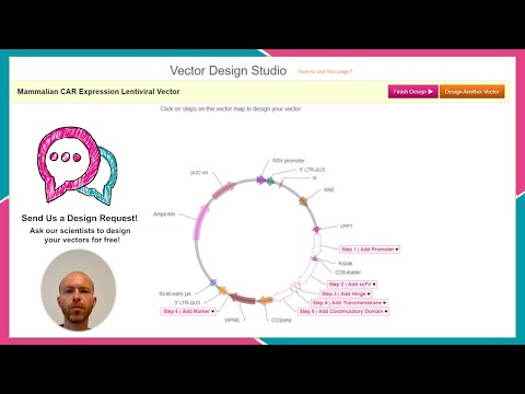 VectorBuilder Inc. | Chimeric Antigen Receptor (CAR) CAR-T Therapy Solutions #cancer #cancerresearch