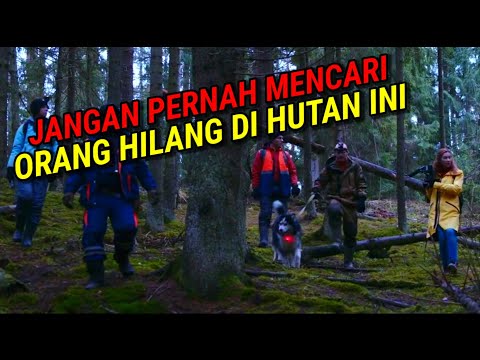 NEVER ENTER THIS FOREST, ESPECIALLY LOOKING FOR A MISSING PERSON‼️