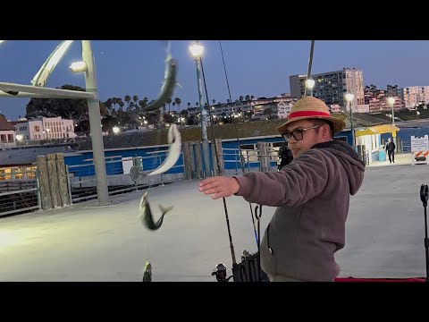 Redondo Pier Fishing for Mackarel🤙