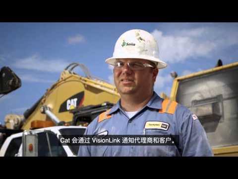 赞誉:Cat® 6015B
