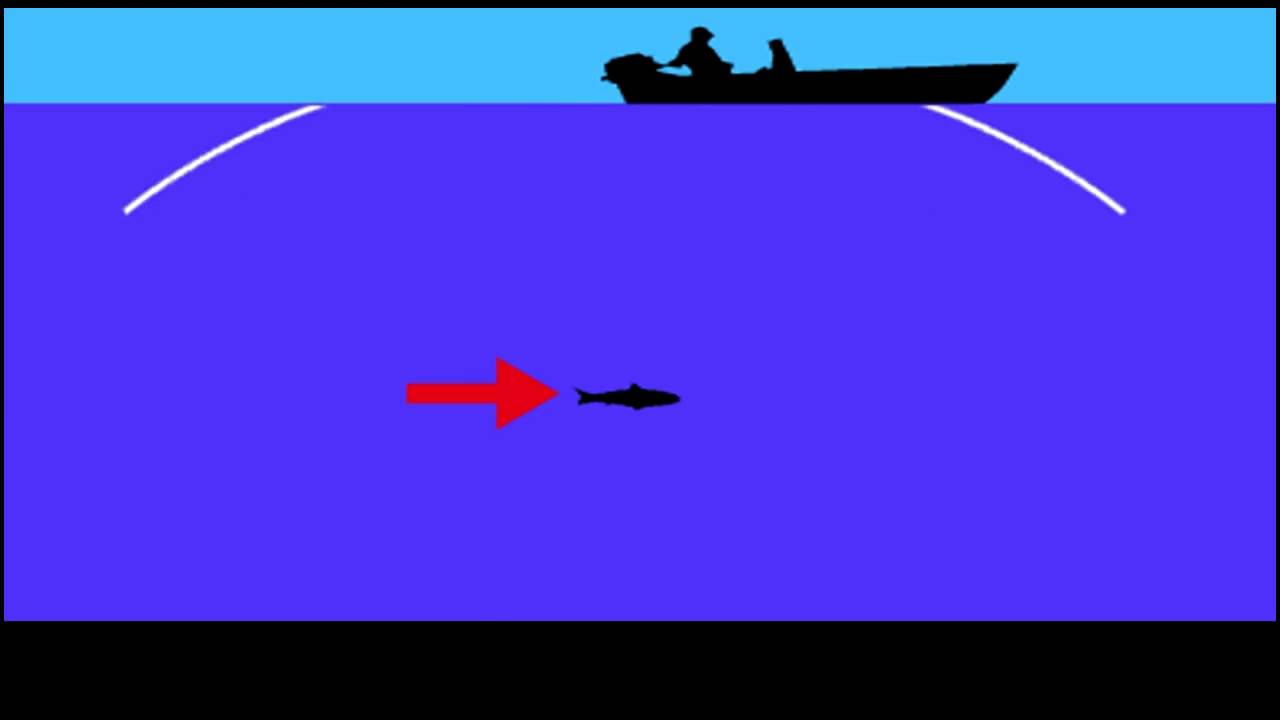How Fish Finders Work