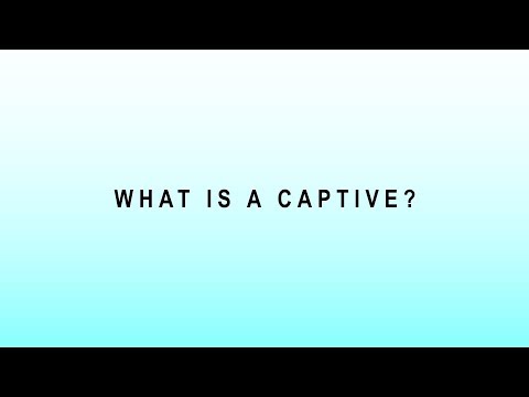 Captive Insurance Program: What is a Captive Insurance Program?