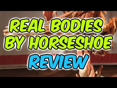 Real Bodies By Horseshoe review- Should you visit?π€ #bodiesbyballys #realbodies #lasvegas #review