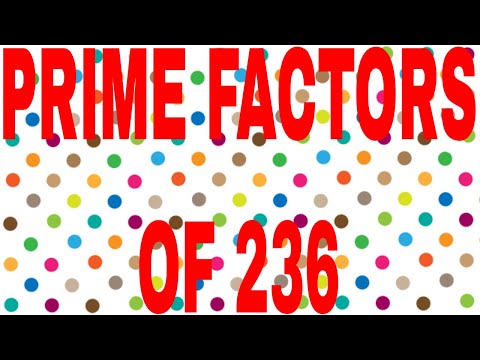 PRIME FACTORS OF 236