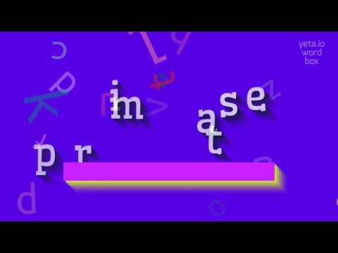 How to say "primates"! (High Quality Voices)