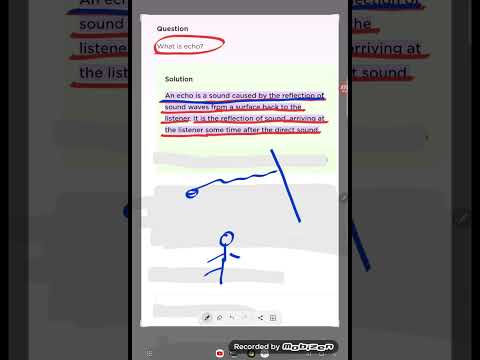 What is echo?