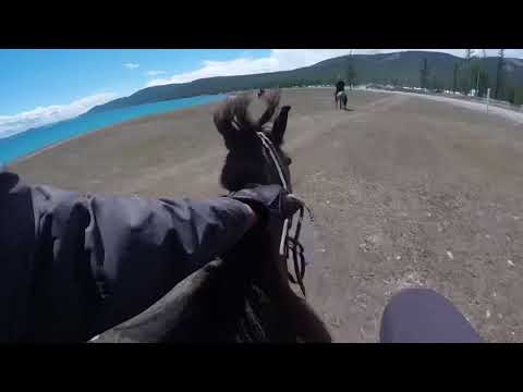Falling off horse at full gallop