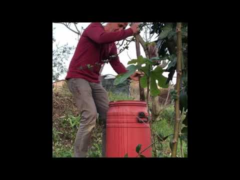 You shall not pass: a mash-up between two hills | pibinko.org Network