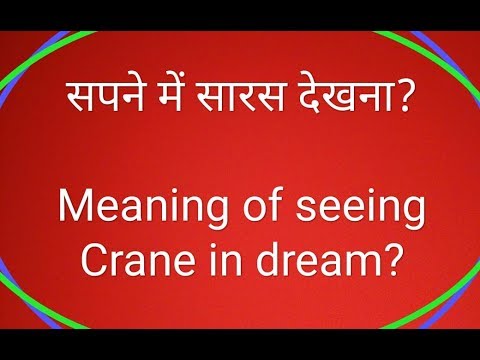 What is the meaning of seeing crane in dream | Dream Prediction