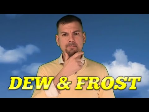 How Does Dew Form?