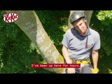 AI made this ad so we could take a break...Tree Surgeon