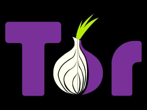 Understanding the Tor Network - A Beginner's Guide
