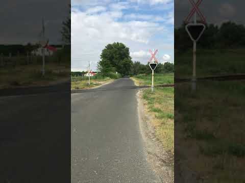 Honda NSR 250 exhaust sound