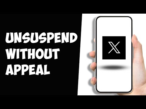 How To Unsuspend Twitter X Account Without Appeal (2024)