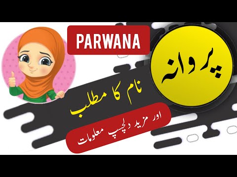 Parwana name meaning in urdu and English with lucky number | Islamic Baby Girl Name | Ali Bhai
