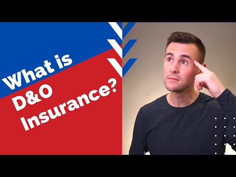 What is D&O Insurance?
