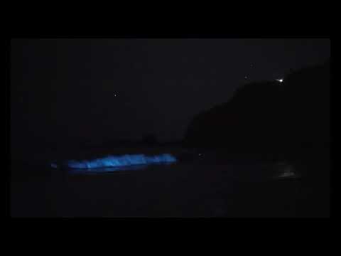 Epic footage shows glowing blue waves on California coast