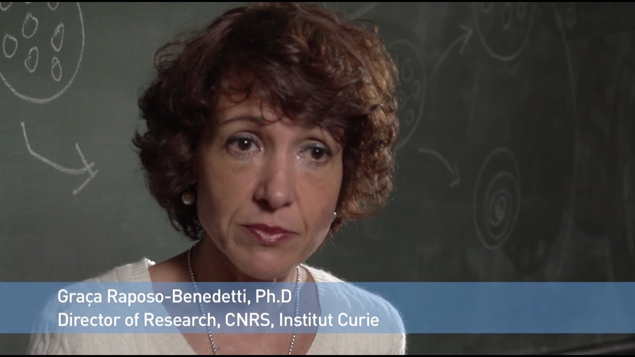 Curiosity and a Passion for Science (Episode 4)