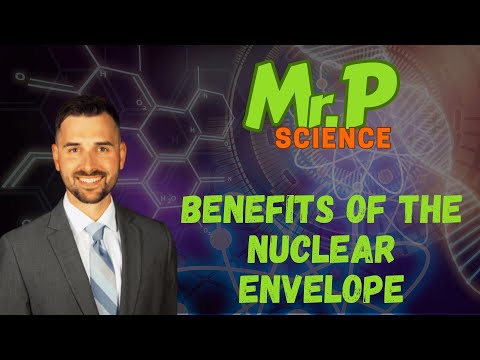 Functional Benefits of the Nuclear Envelope