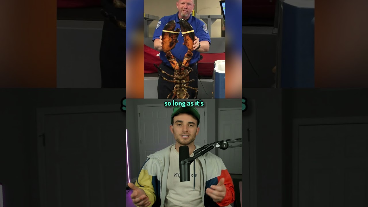 Craziest Things You Can Bring Through Airport Security