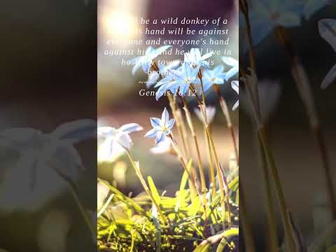 Bible | Genesis 16:12 | He will be a wild donkey of a ...