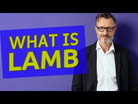 Lamb | Meaning of lamb 📖 📖 📖