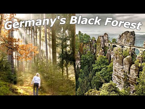 Exploring the Black Forest | hiking & ancient castle ruins