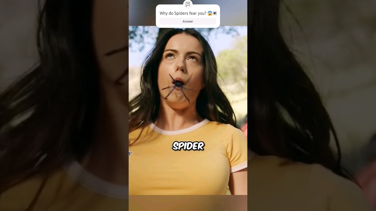 Spiders nightmare come true!