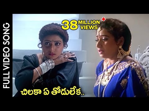 Subhalagnam Movie || Chilaka Ye Thodu Leka Video Song || Jagapathi Babu, Aamani || Shalimarcinema