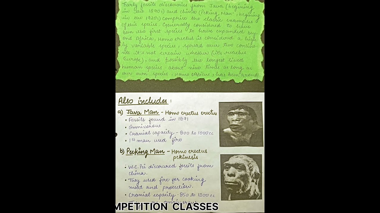 Evolution | Investigatory Project File | CLASS 12 | CBSE 2024-25 |
