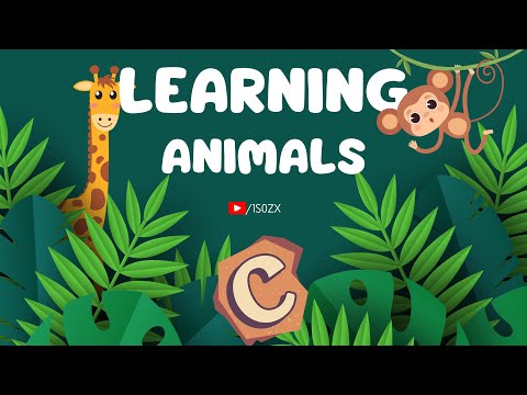 Learning Animals for Kids | Letter C