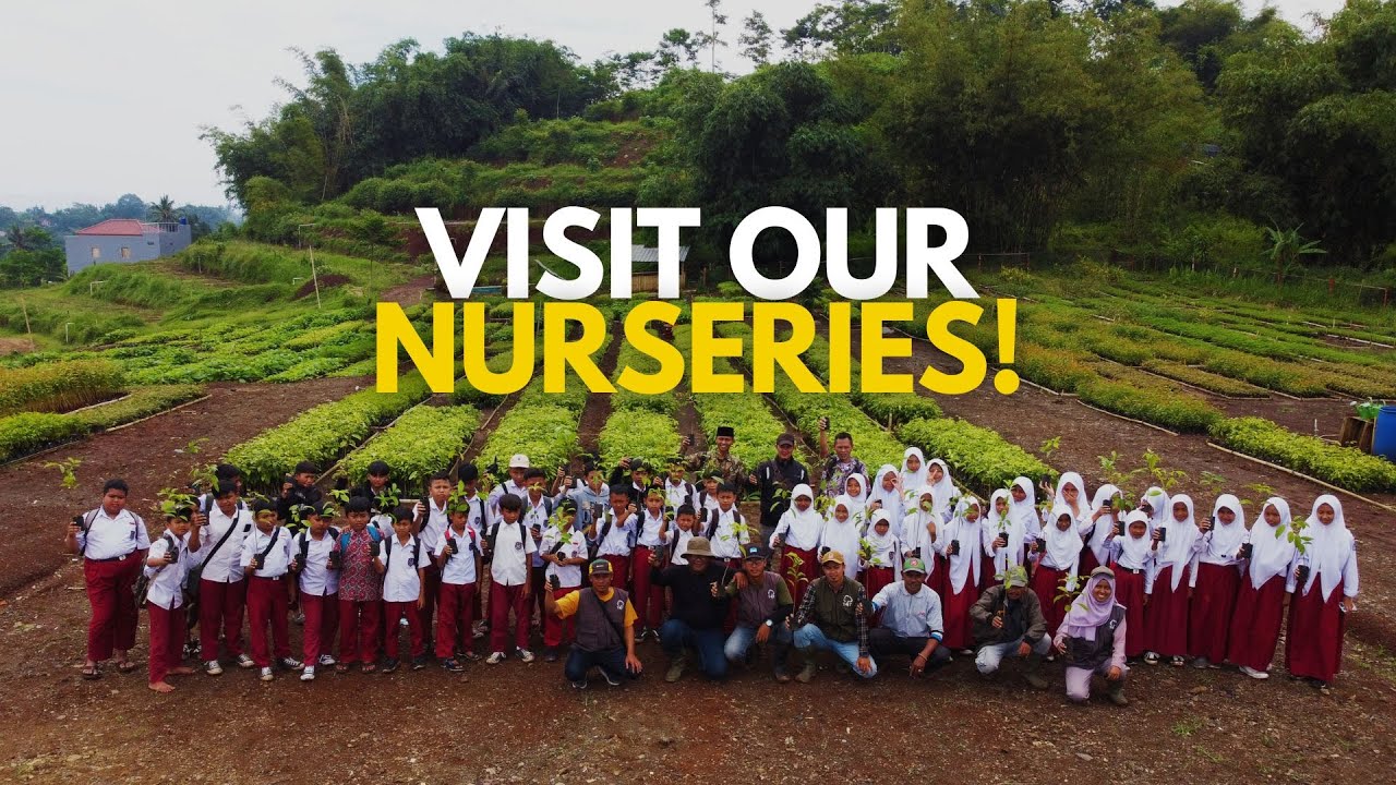 Visit our Nursery!| Students Learnt to Grow Tree Seedlings in Environmentally Friendly Methods