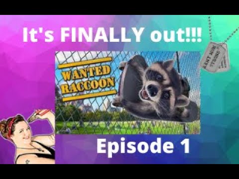 Steam Community :: Wanted Raccoon