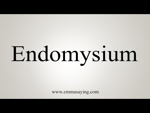 How To Say Endomysium