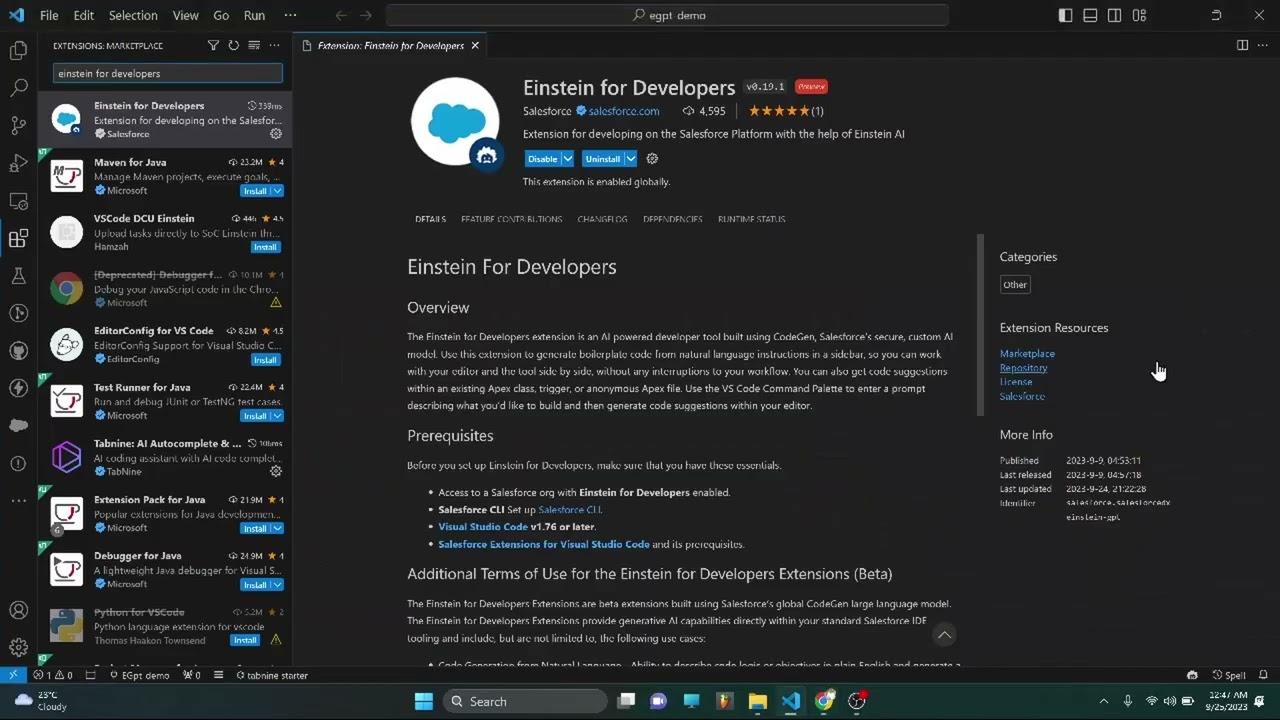 How to setup and use Einstein for Developers