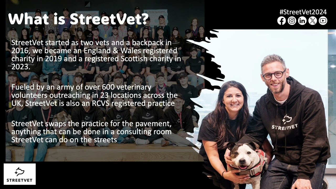 The Bristol Paws Project