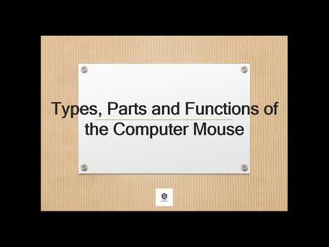 Types, Parts and Functions of the Computer Mouse